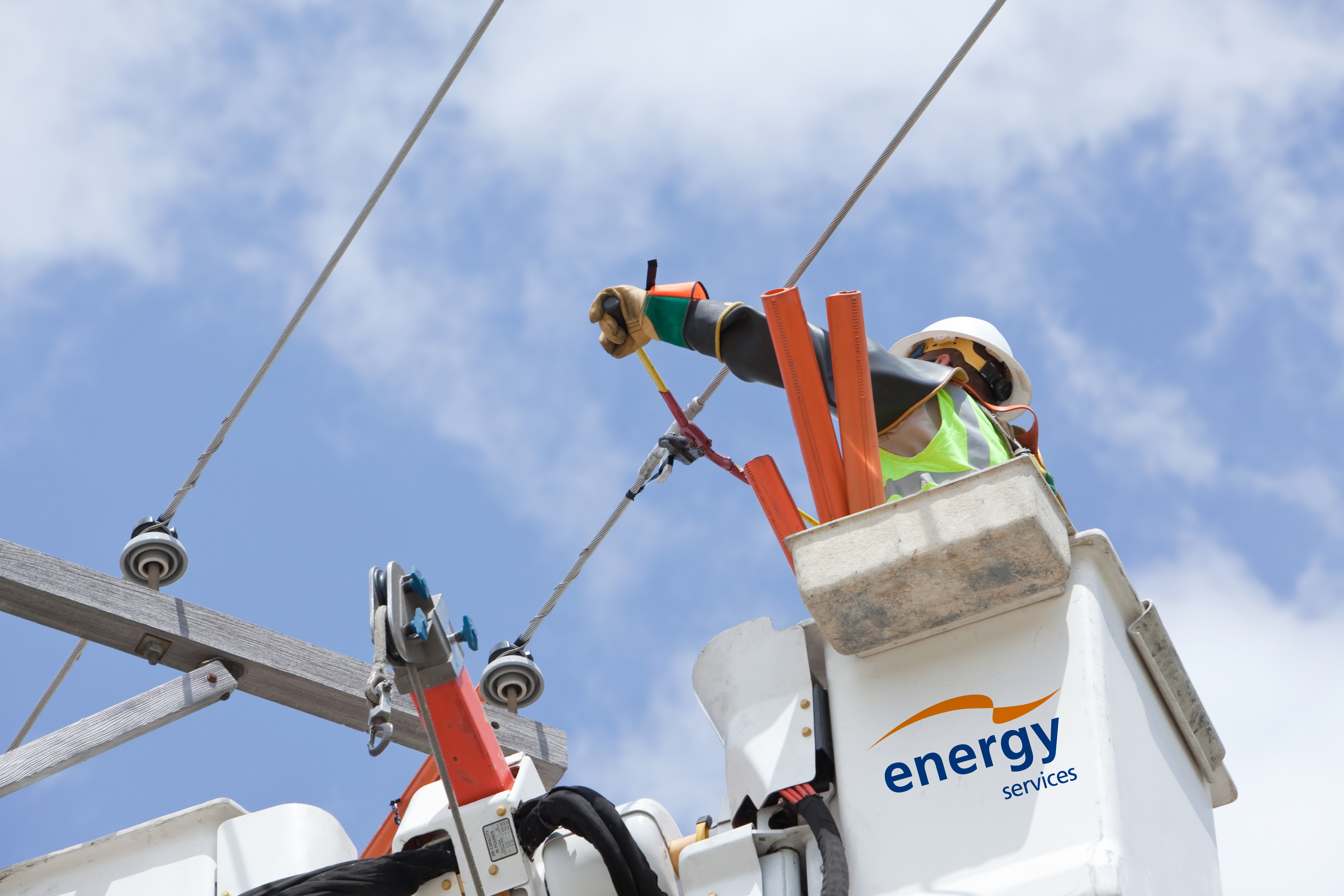 About EES | Elecnor Energy Services